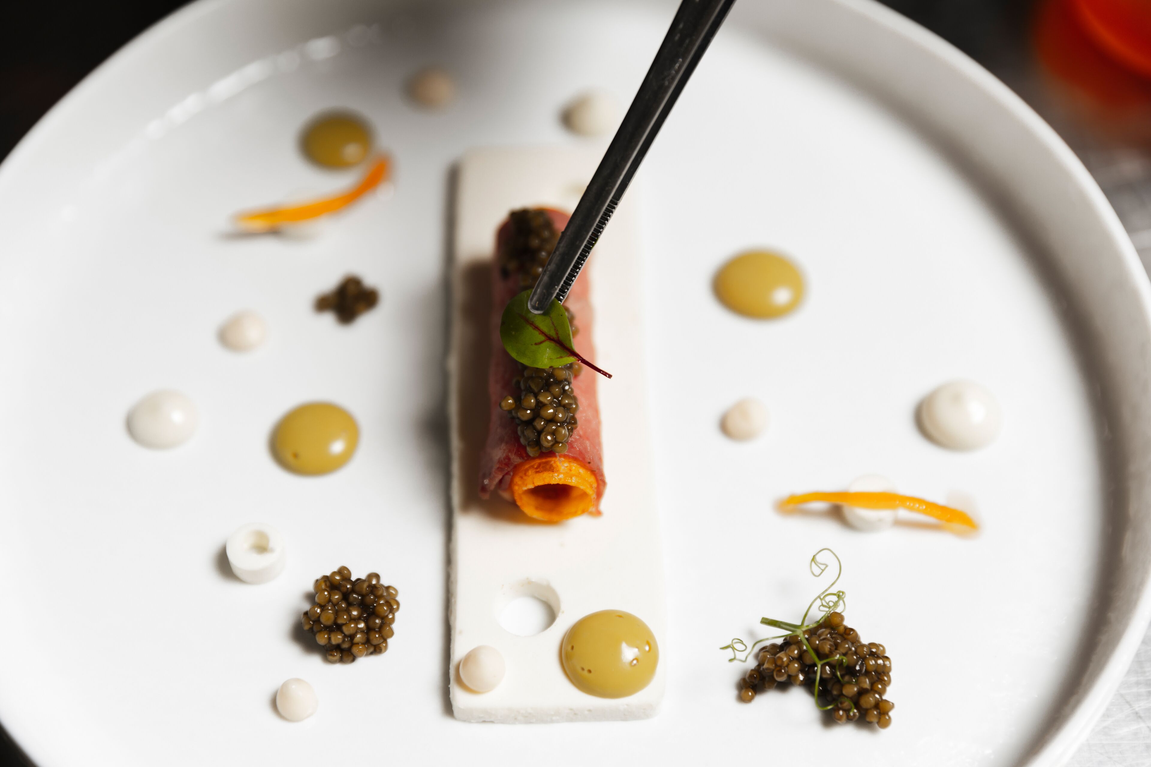 Um prato branco com um rolo de carne, guarnecido com caviar e uma folha verde, rodeado por pequenos pontos brancos e amarelos.