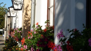 Um edifício com uma fileira de placas penduradas com a inscrição "Bittburger" e uma caixa de flores com diversas flores.