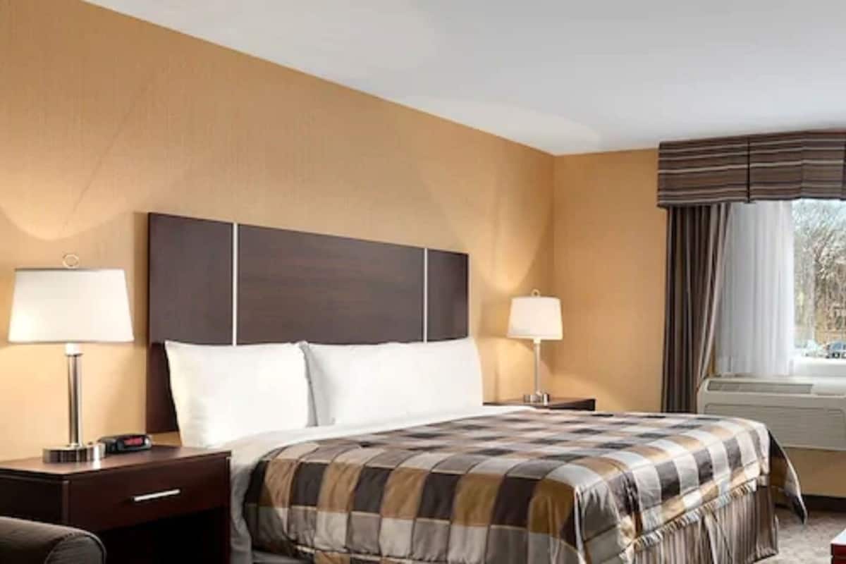 Edredons de pluma, escrivaninha, ferros/tábuas de passar roupa