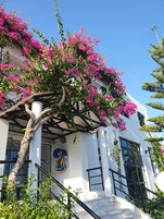 Entrada da propriedade