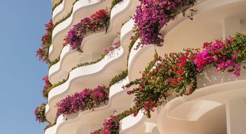 Pormenores do interior