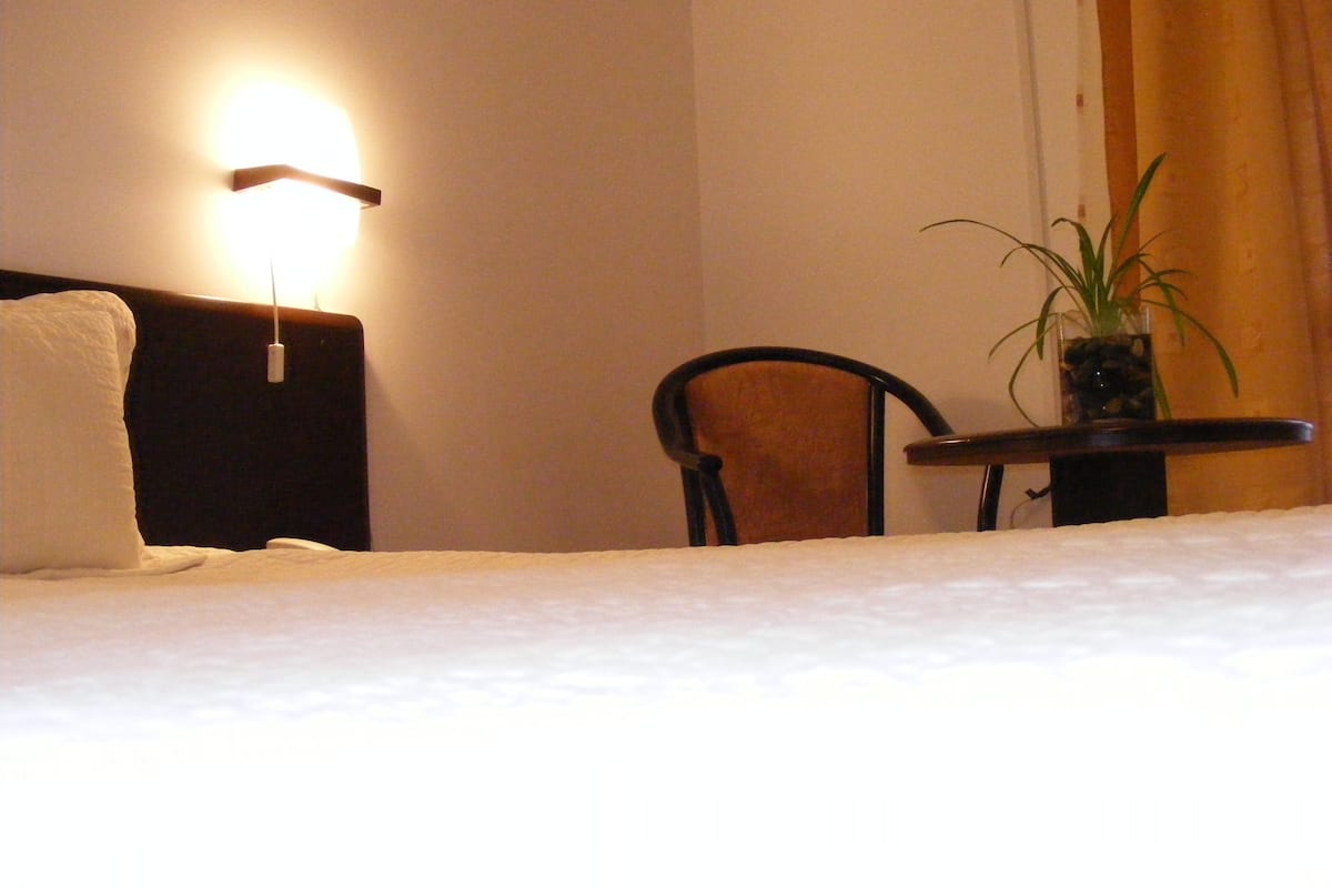 Quarto de hotel com cama, mesa de cabeceira, cadeira, mesinha e planta em vaso.