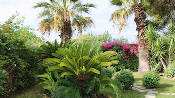 Jardim