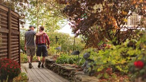 Uma trilha de madeira em um jardim com muros de pedra e diversas plantas.