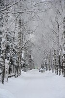 Terrenos do alojamento