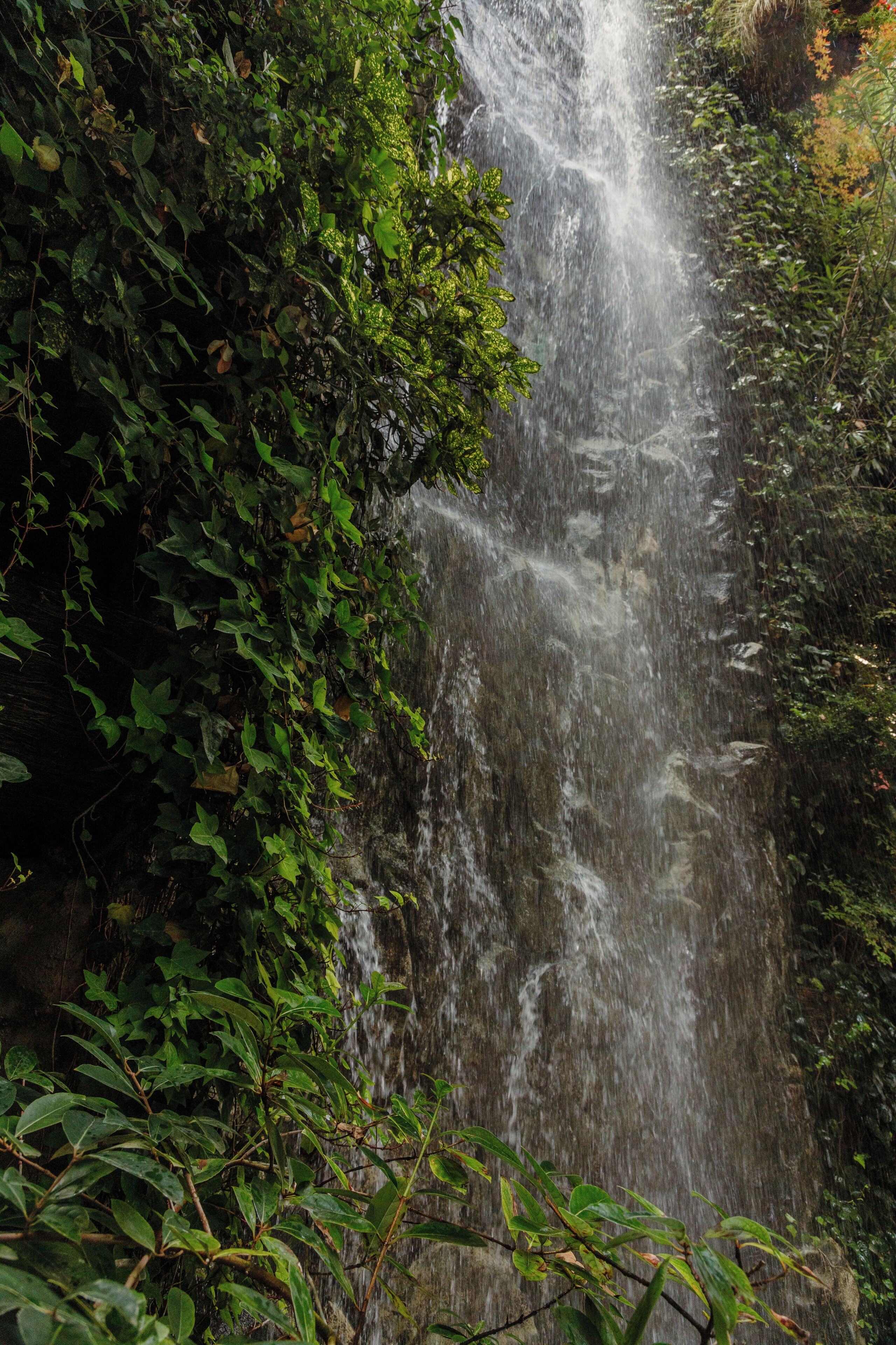 Uma cascata rodeada por vegetação densa.