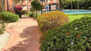 Jardim