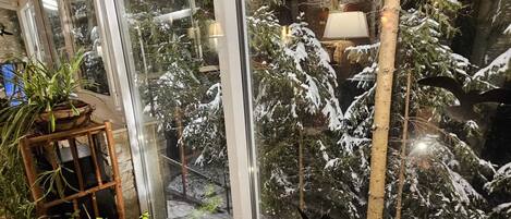 Villa Elena | Vista para o jardim