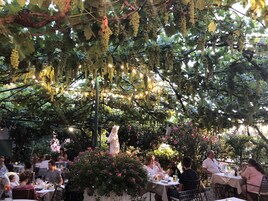 Pequenos-almoços servidos, cozinha grega, com vista para o oceano 