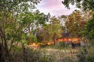 Uma cabana rústica rodeada por uma floresta densa, com vista clara do interior.