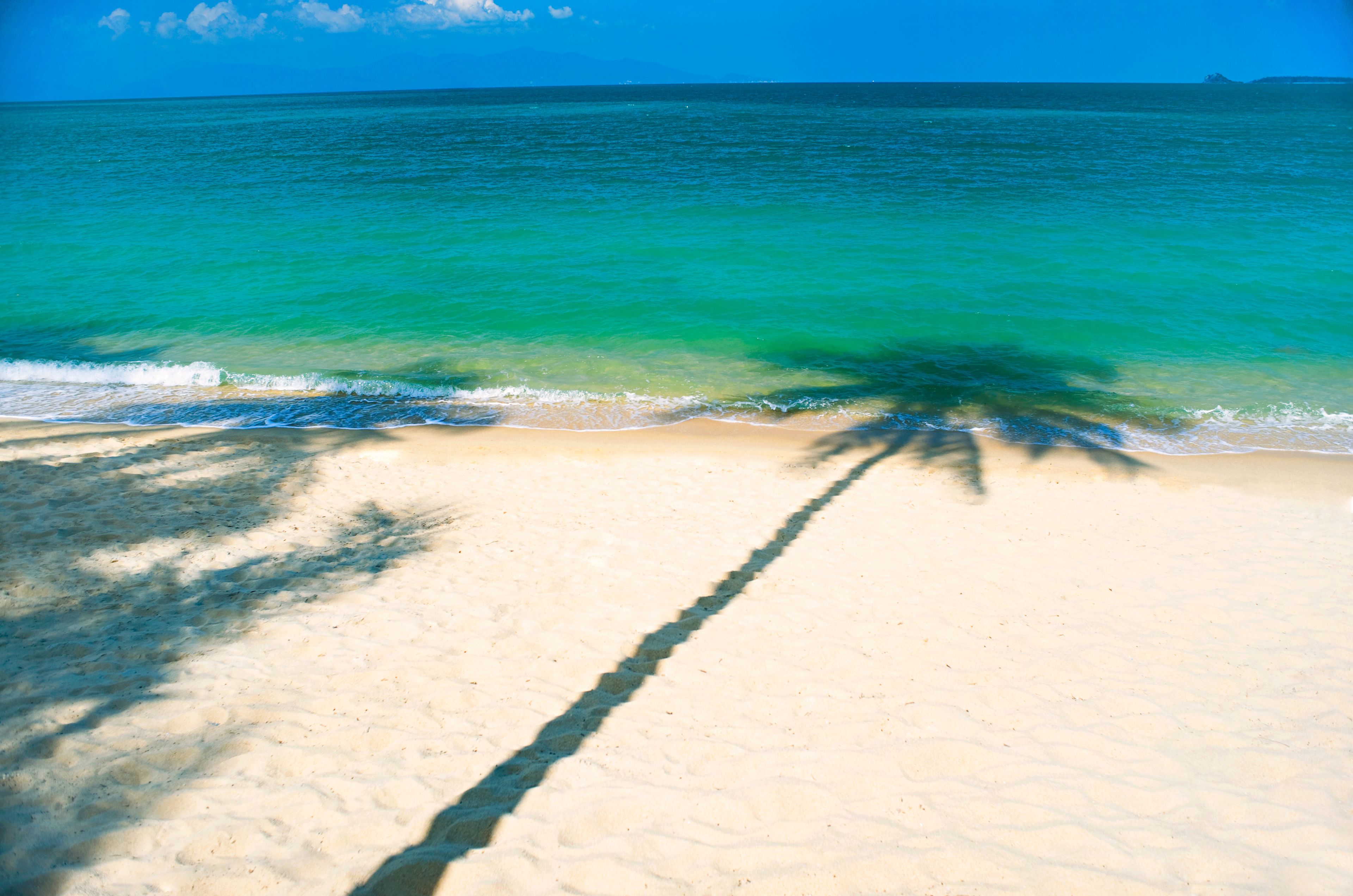 Uma praia com águas turquesa cristalinas e uma palmeira projetando sombra na areia.