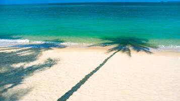 Uma praia com águas turquesa cristalinas e uma palmeira projetando sombra na areia.