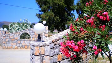 Jardim