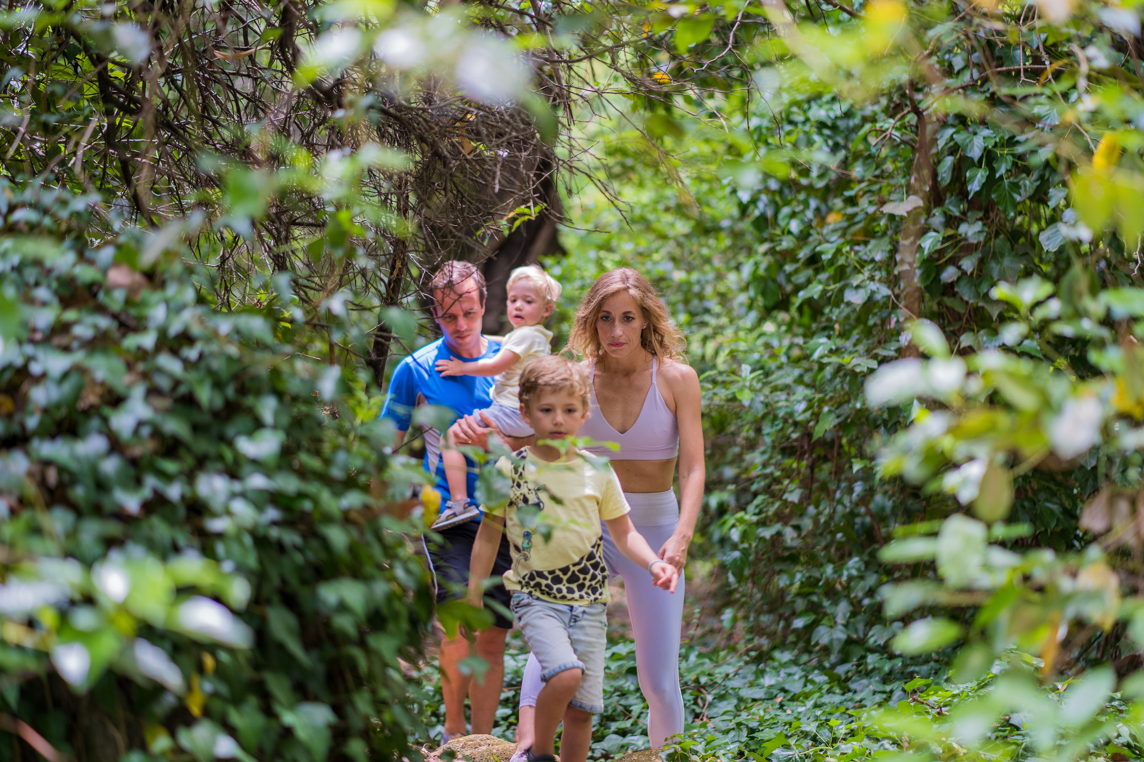 Uma família caminhando por uma área florestal exuberante e verdejante.