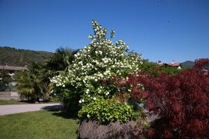 Área da propriedade