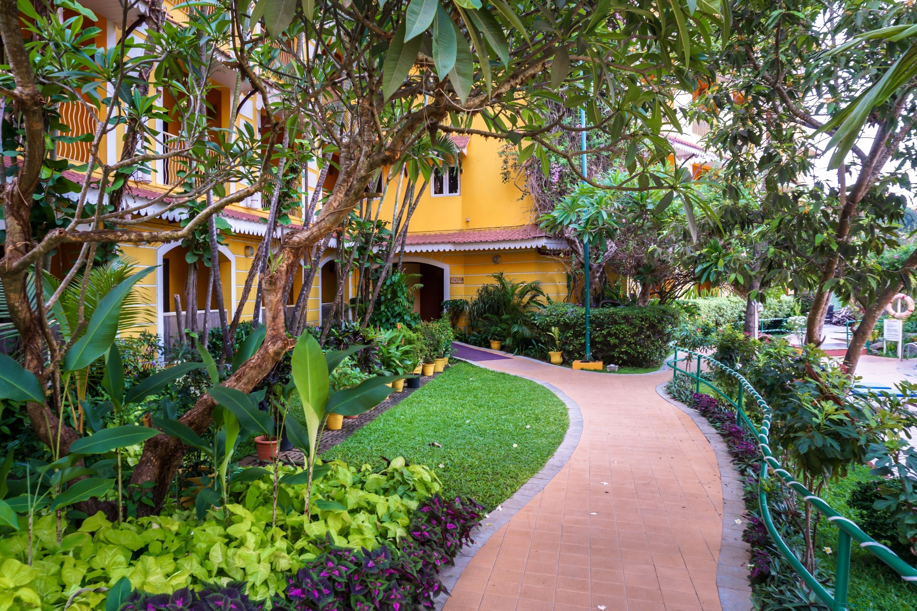 Um pátio com um caminho sinuoso, vegetação exuberante e um edifício amarelo com várias janelas.