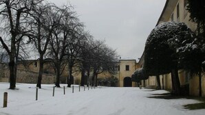 Rua coberta de neve, com árvores desfolhadas e um edifício com fachada amarela.