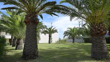 Jardim