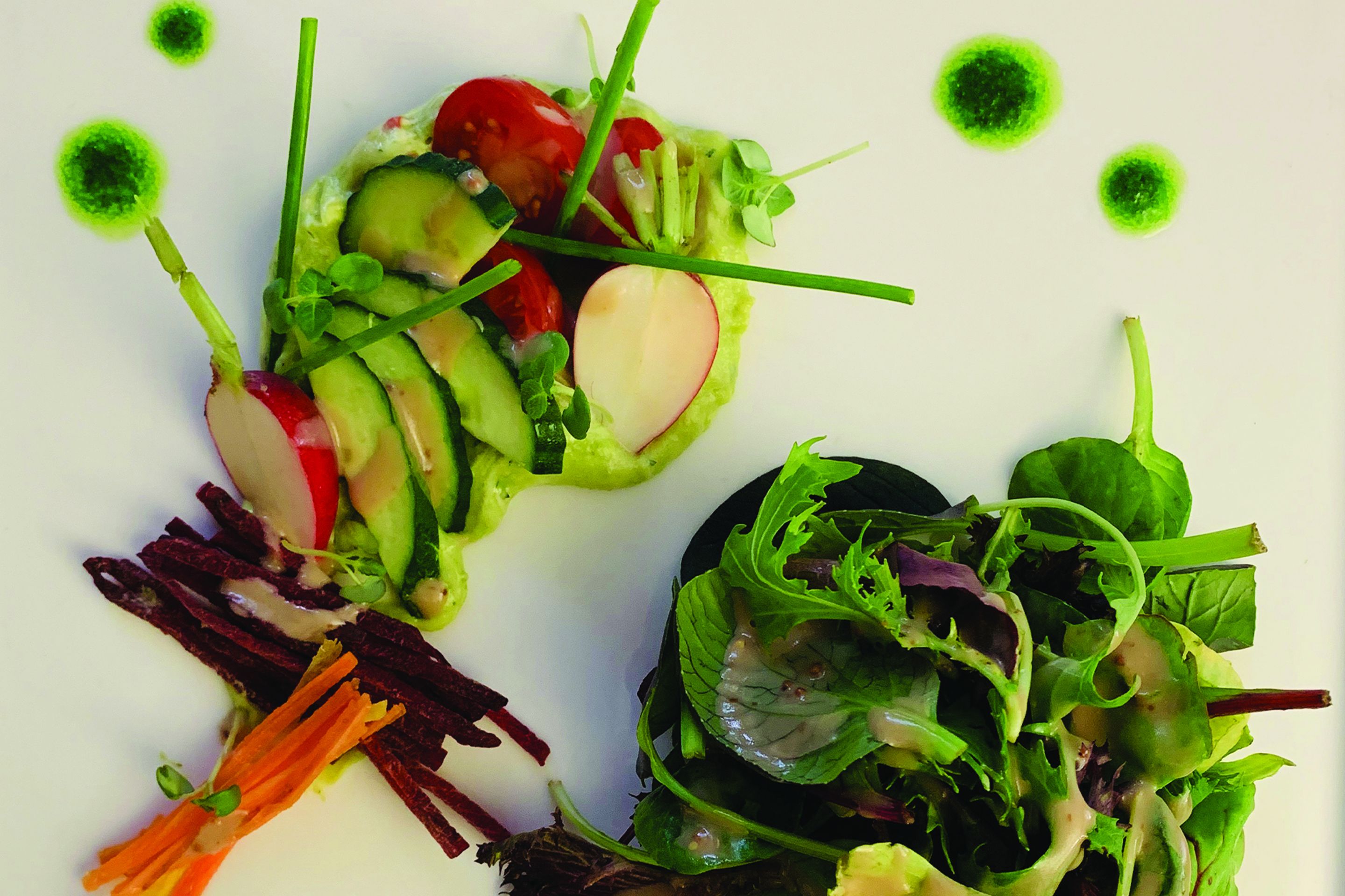 Um prato com diversas saladas, incluindo uma com rabanetes, pepinos e folhas verdes.