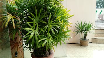 Fachada do alojamento