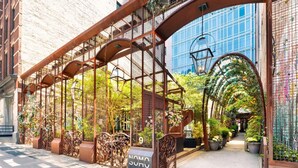 Uma área externa coberta com cerca de metal, plantas em vasos e um edifício ao fundo.