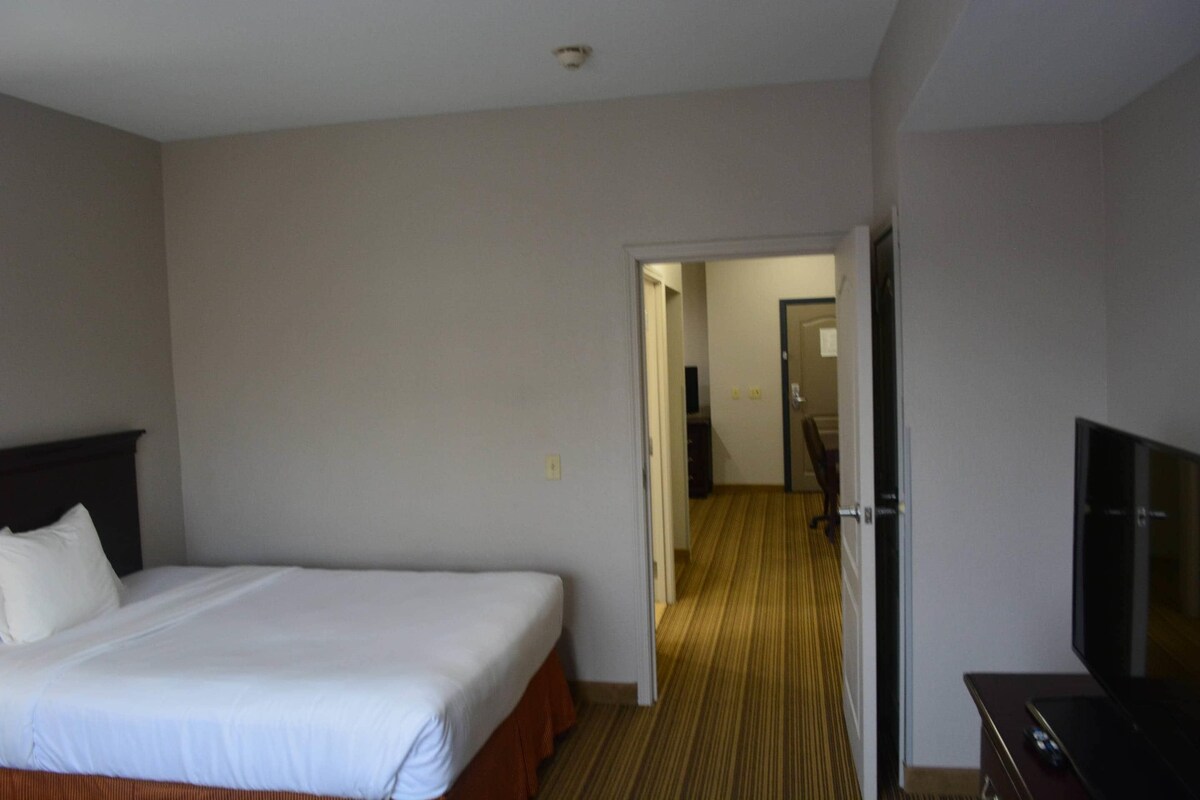 Suite, 1 cama king-size, não fumadores | Roupa de alta qualidade, secretária, ferro/tábua de engomar 