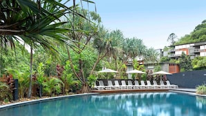 Piscina com espreguiçadeiras, cercada por vegetação exuberante e um edifício moderno ao fundo.