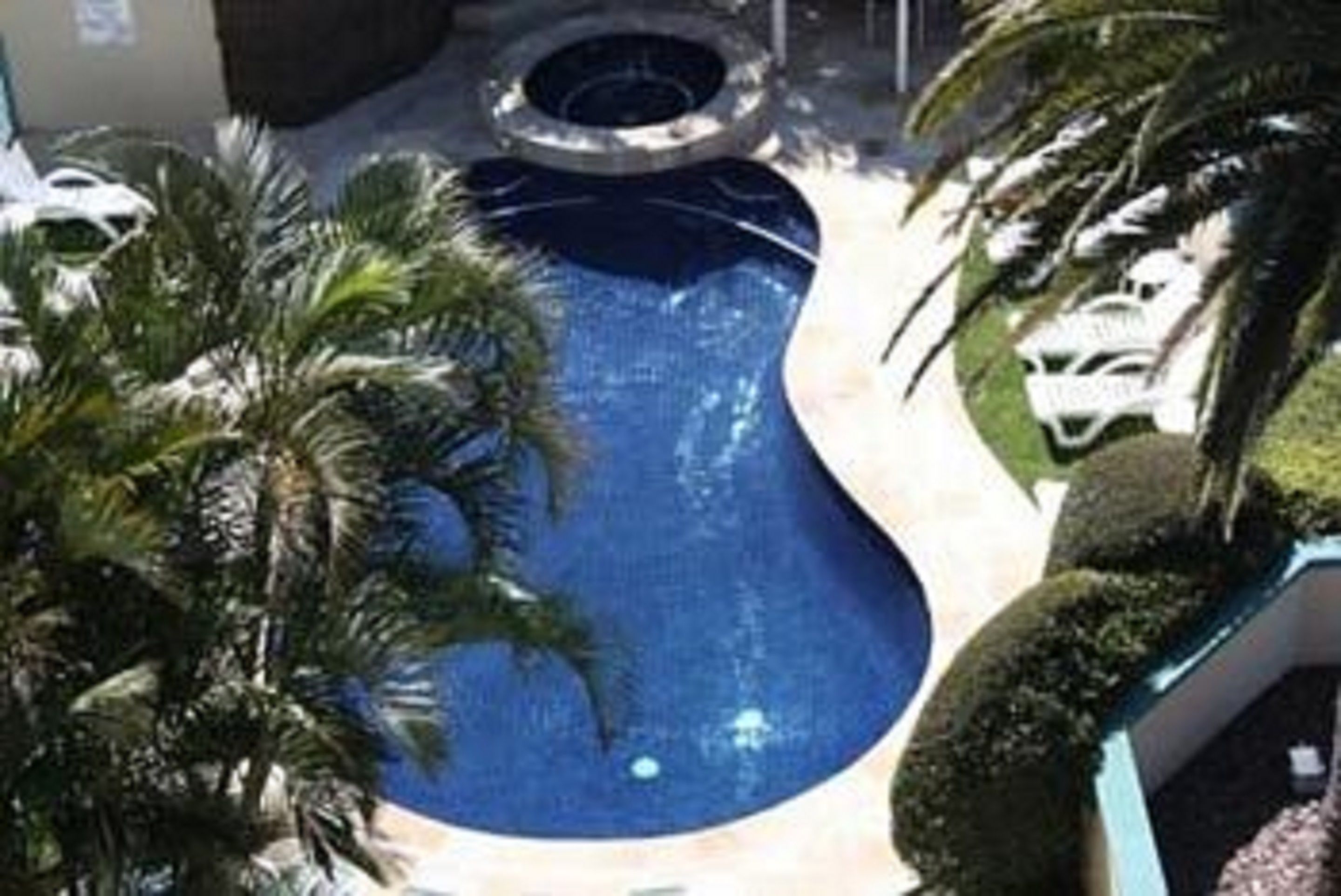 Piscina rodeada por palmeiras e um espelho de água circular.