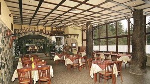 Um restaurante com mesas e cadeiras de madeira, uma parede de pedra e uma grande árvore.