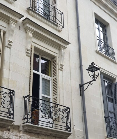 Hôtel du Cygne (Tours)