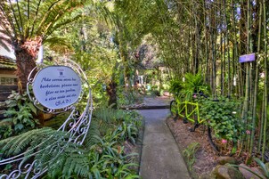 Jardim