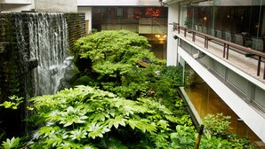 Espaço interior em vários níveis, com uma cascata, vegetação exuberante e guarda-corpo de vidro com vista para o espaço.