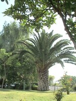 Terrenos do alojamento