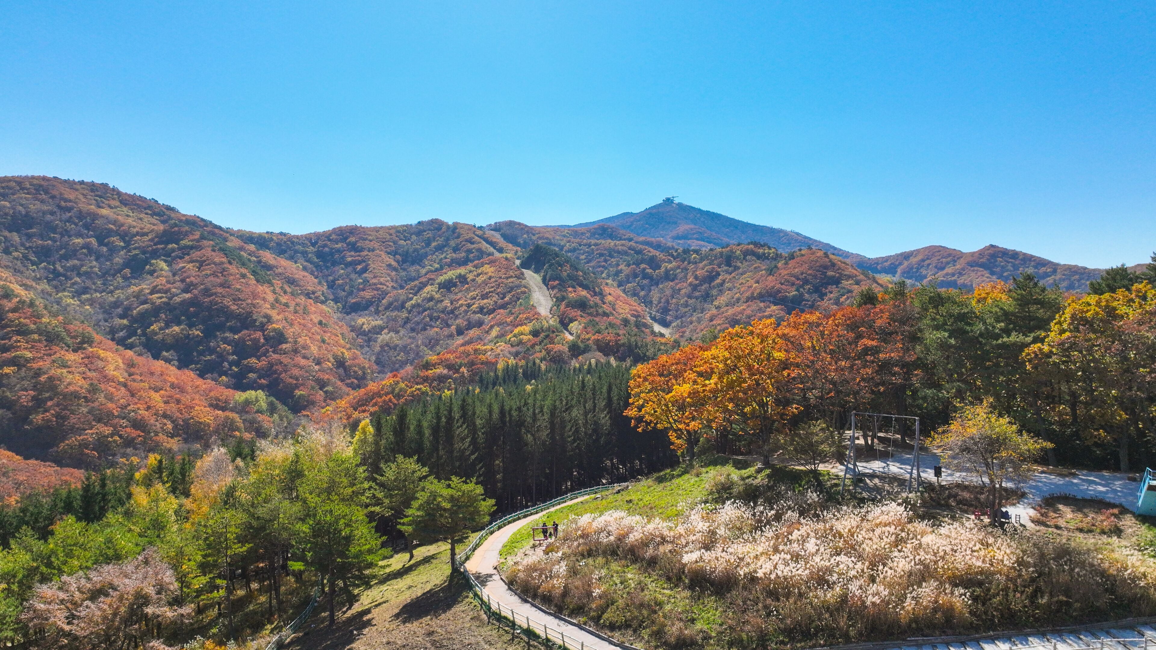 Paisagem montanhosa com estrada sinuosa e área com bancos para visitantes.