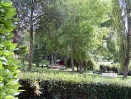 Um parque com árvores, um banco e um edifício ao fundo.