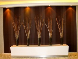 Pormenores do interior