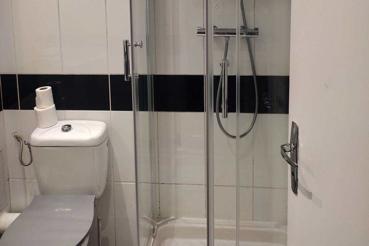 Uma casa de banho moderna com chuveiro em cabine de vidro, sanita e bidé.