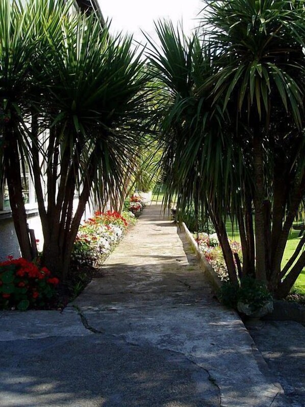 Terrenos do alojamento