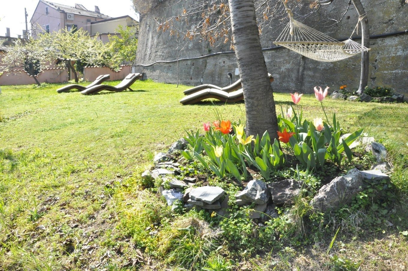 Um jardim com uma rede, cadeiras reclináveis e diversas plantas, incluindo tulipas.