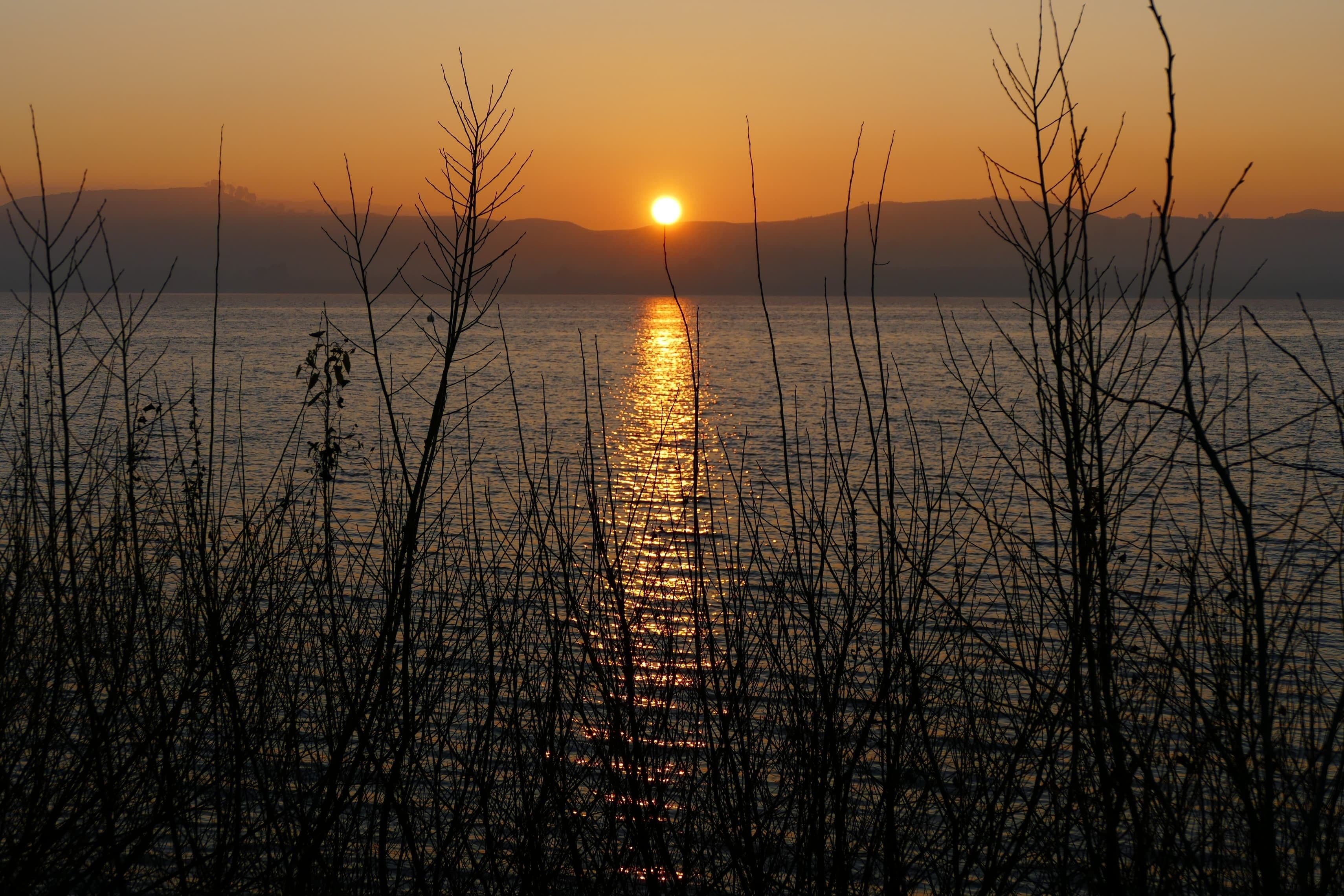 Um pôr do sol sobre águas calmas, com árvores silhuetadas em primeiro plano.