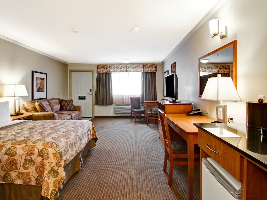 Quarto de hotel com cama, escrivaninha, cadeira e televisão.