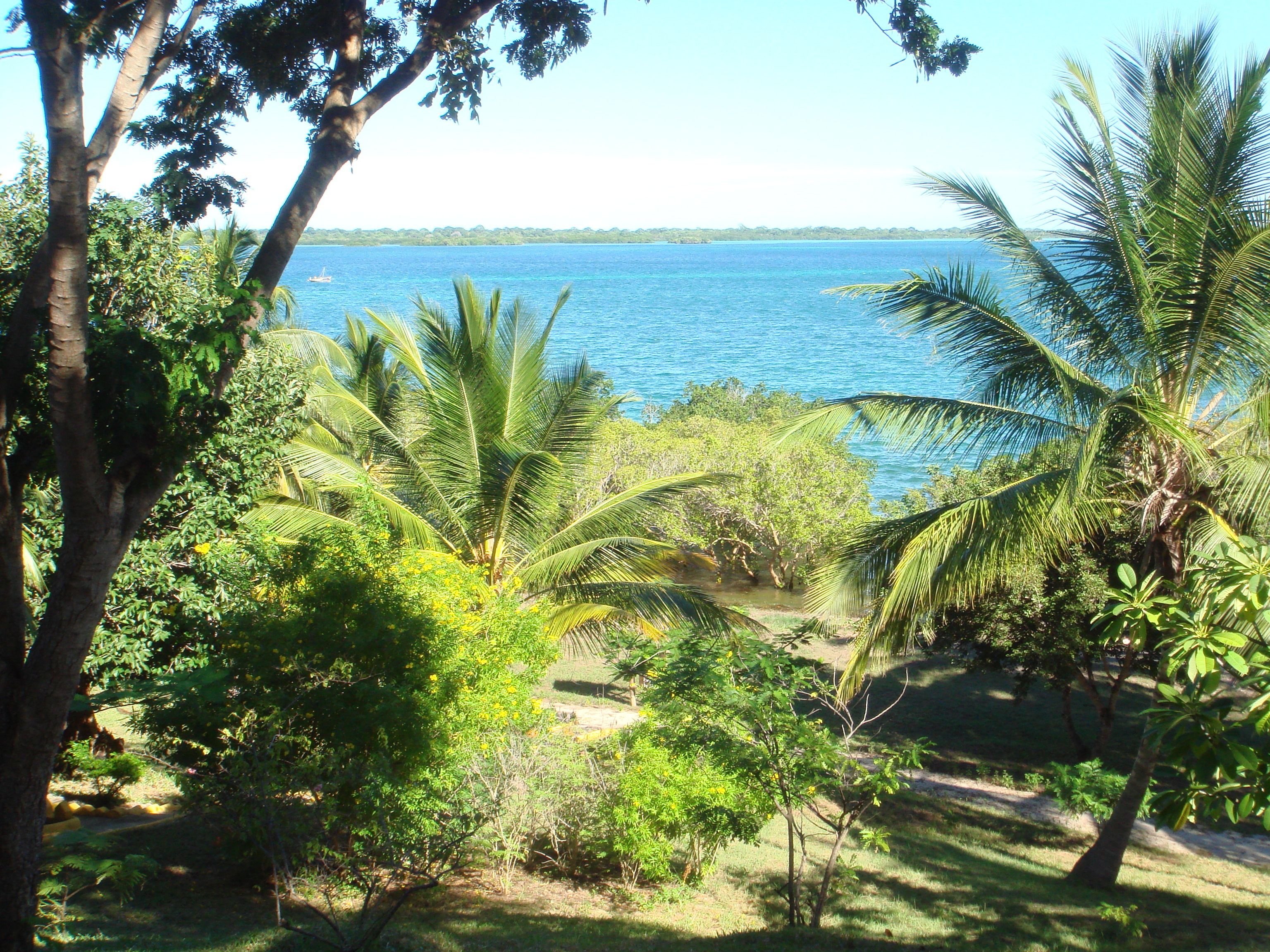 Paisagem tropical com vegetação densa e vista para um corpo d'água calmo.
