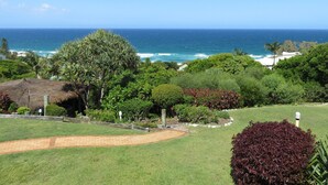 Um jardim exuberante com um caminho que leva a uma vista para a praia.