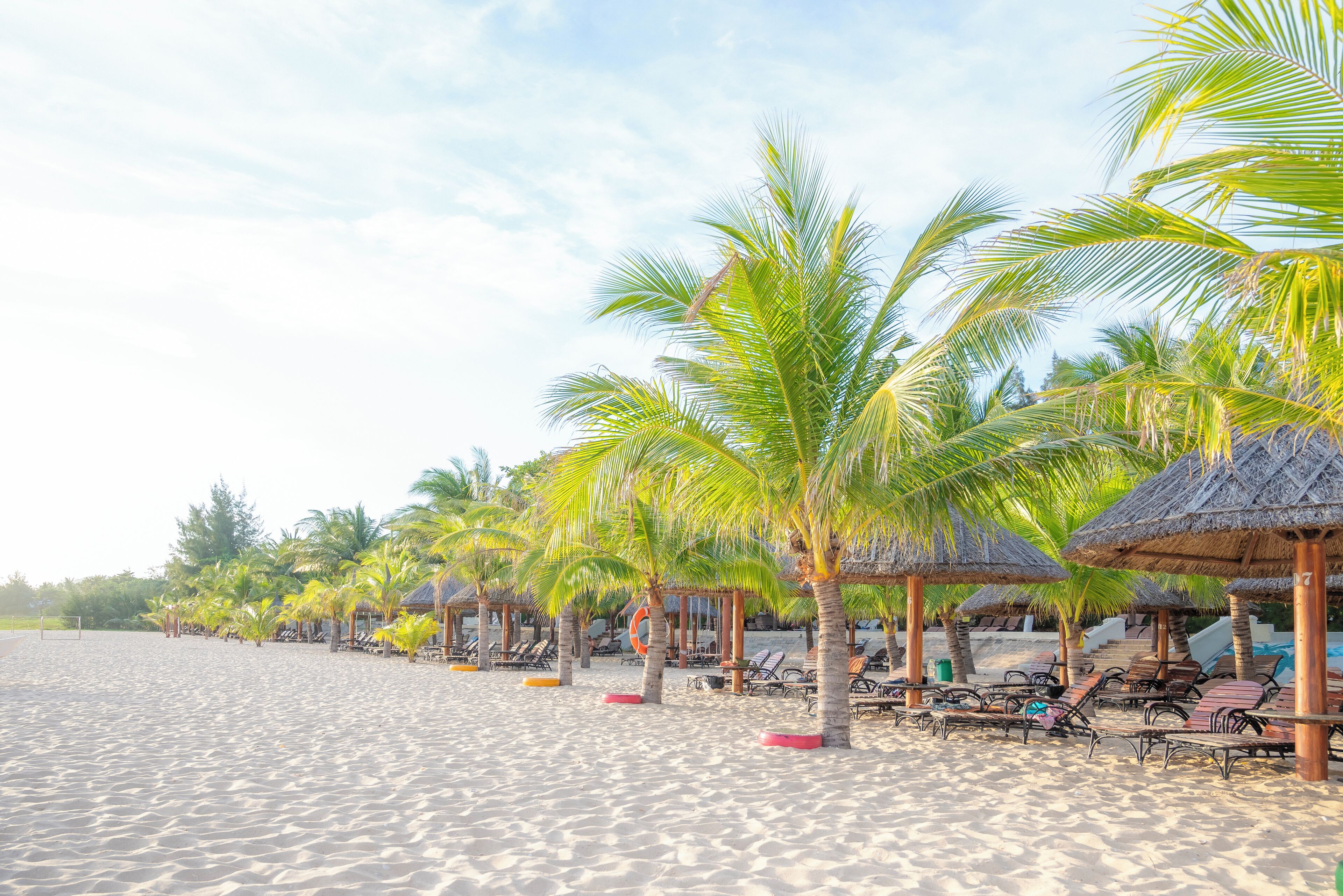 Uma praia privada, espreguiçadeiras, guarda-sóis de praia 