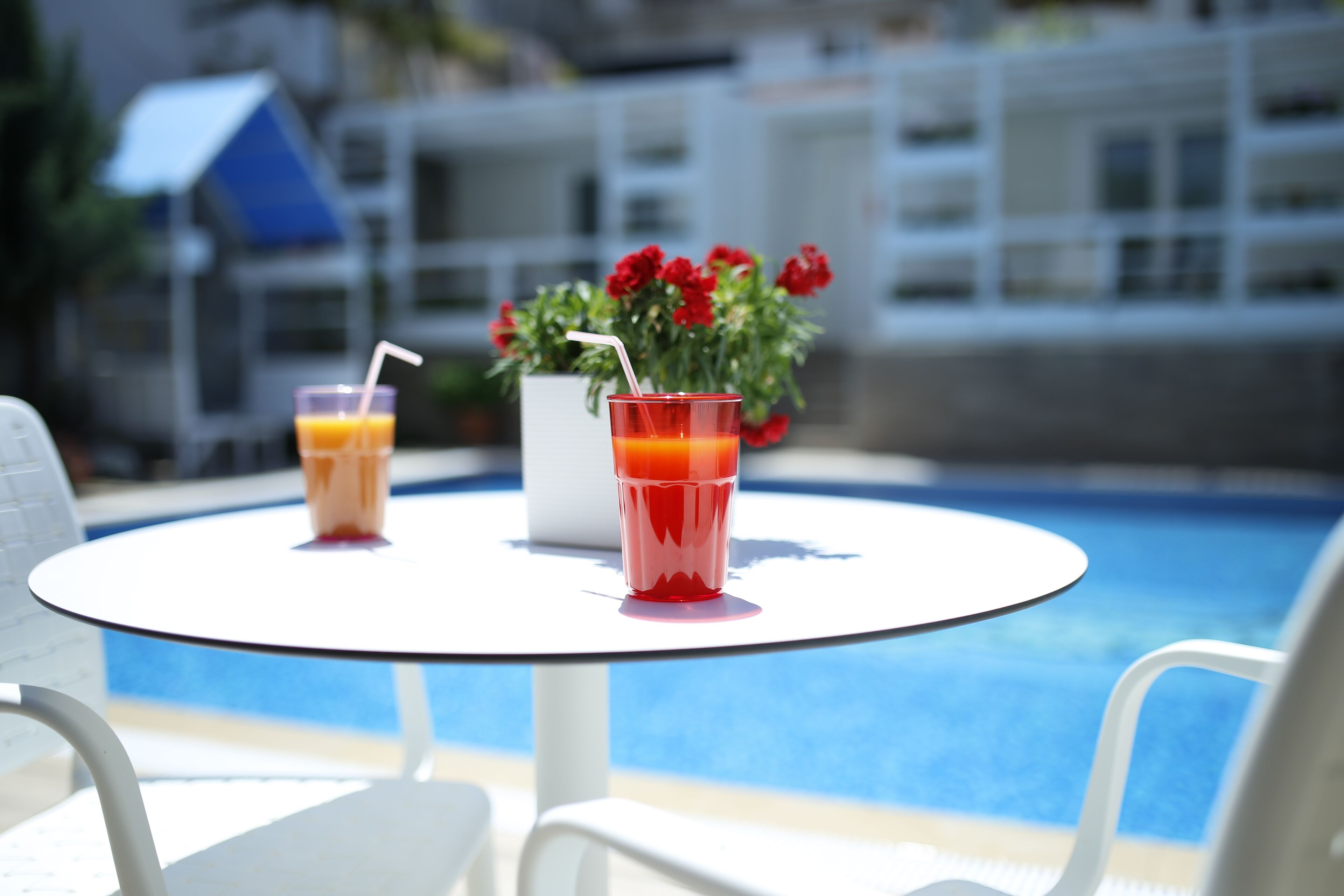 Mesa à beira da piscina com duas bebidas e um vaso de flores vermelhas.