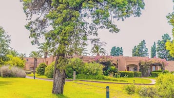 Um jardim exuberante com uma grande árvore, um caminho e um edifício com fachada vermelha ao fundo.