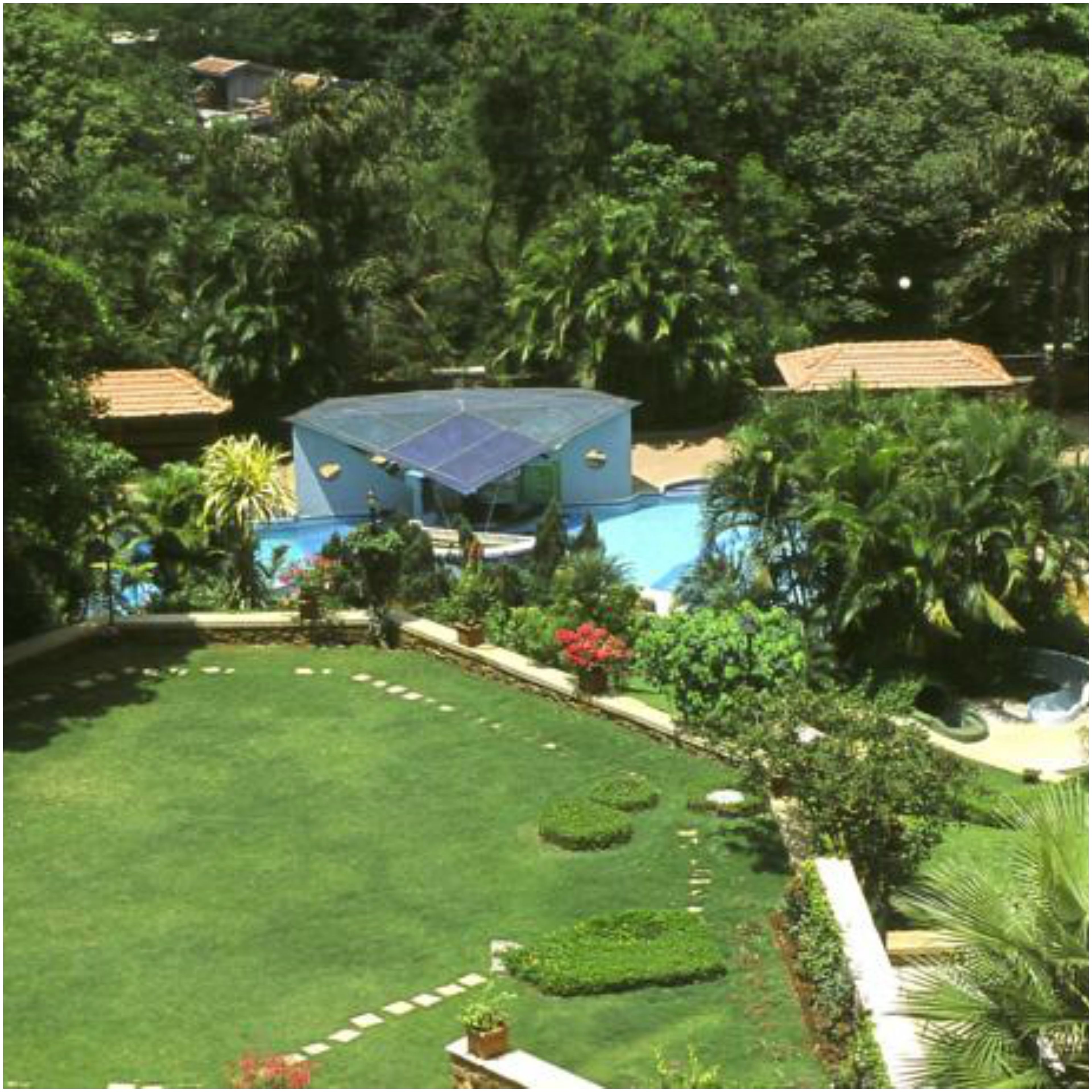 Um grande jardim bem cuidado com piscina, cercado por vegetação exuberante e palmeiras.