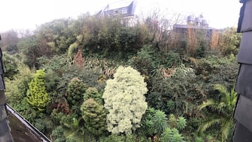 Vista para o jardim