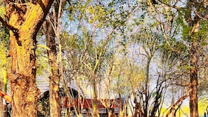 Uma trilha cercada por árvores e pedras, que conduz a um edifício com telhado vermelho.