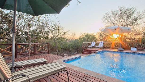 Uma piscina com espreguiçadeiras e um guarda-sol, cercada por árvores e um deck de madeira.